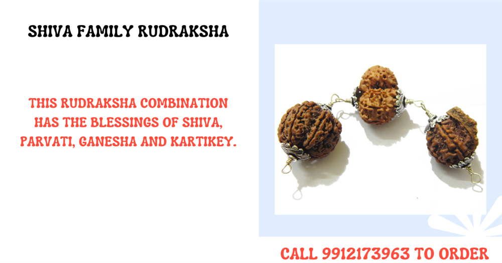 Shiva Family Rudraksha shield |Rudraksha Beads Wholesale Store : Mala ...